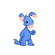 Blumaroo | Neopets Wiki | Fandom