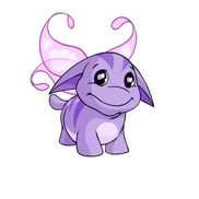 Poogle | Neopets Wiki | Fandom