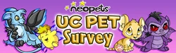 Pet Styles | Neopets Wiki | Fandom