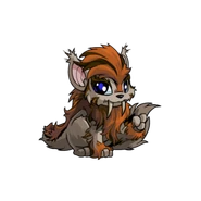 Xweetok | Neopets Wiki | Fandom