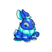 Cybunny | Neopets Wiki | Fandom
