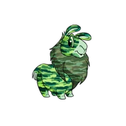 Gnorbu | Neopets Wiki | Fandom