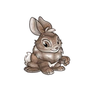 Cybunny | Neopets Wiki | Fandom