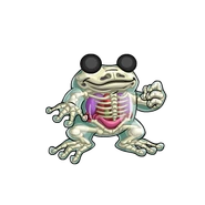 Transparent | Neopets Wiki | Fandom