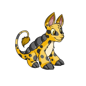 Spotted | Neopets Wiki | Fandom