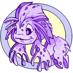 Koi | Neopets Wiki | Fandom
