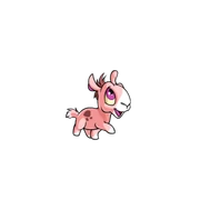 Gnorbu | Neopets Wiki | Fandom