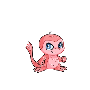 Mynci | Neopets Wiki | Fandom