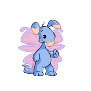 Blumaroo | Neopets Wiki | Fandom