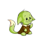 Kacheek | Neopets Wiki | Fandom