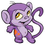 Mynci | Neopets Wiki | Fandom