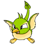 Pteri | Neopets Wiki | Fandom