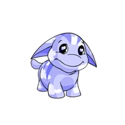 Poogle | Neopets Wiki | Fandom