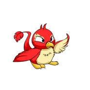 Pteri | Neopets Wiki | Fandom