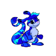 Zafara | Neopets Wiki | Fandom