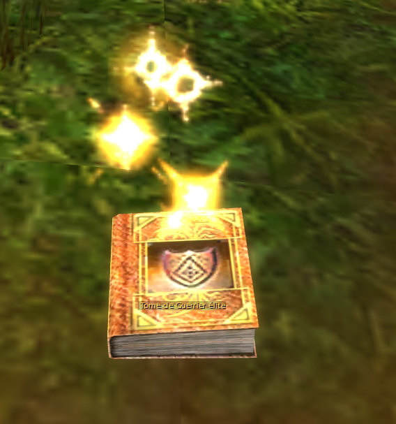 Tome De Guerrier élite Guild Wars Wikia Fandom