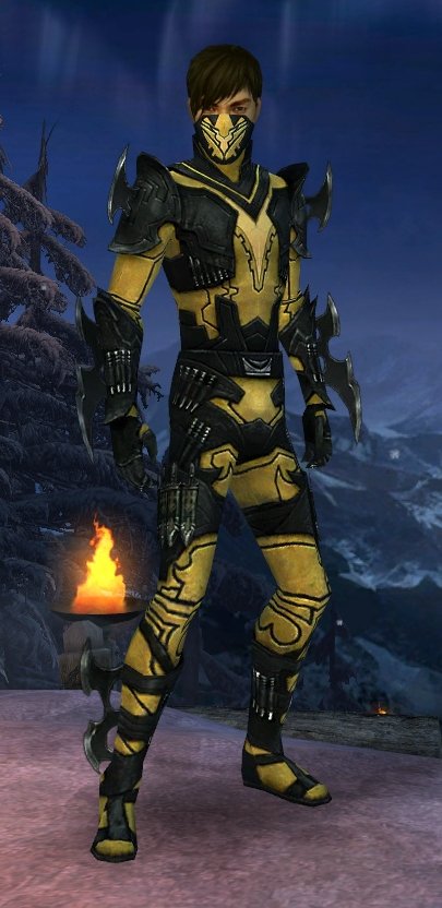 Armure De Kurzick Assassin Guild Wars Wikia Fandom