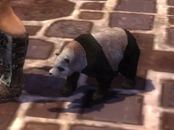 Panda miniature | Guild Wars Wikia | Fandom