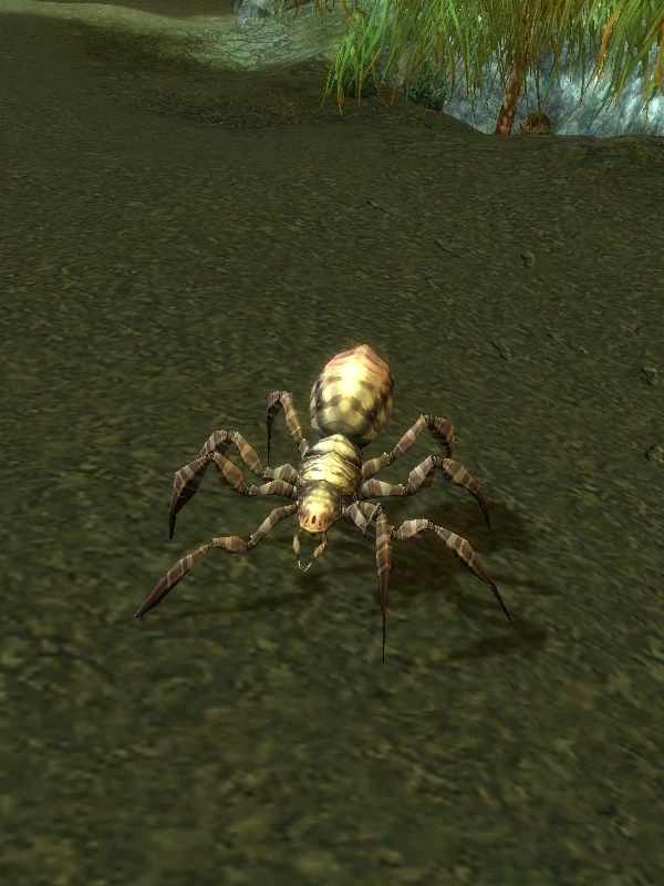 Carlotta | Guild Wars Wikia | Fandom