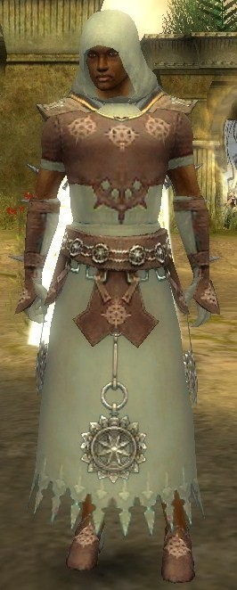 Armure De Lancier Derviche Guild Wars Wikia Fandom