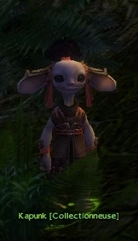Kapunk | Guild Wars Wikia | Fandom