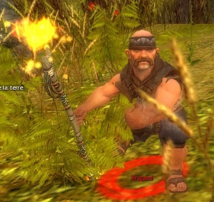 Brigand | Guild Wars Wikia | Fandom