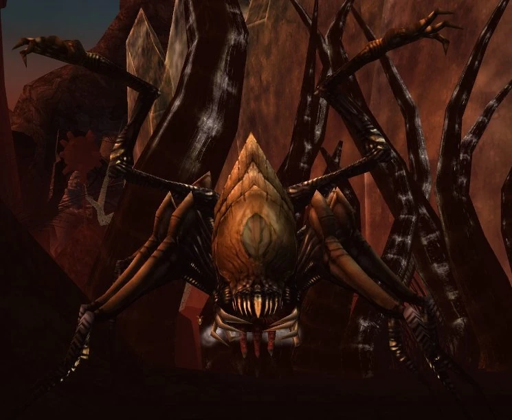 Drider Tyrachnide | Guild Wars Wikia | Fandom