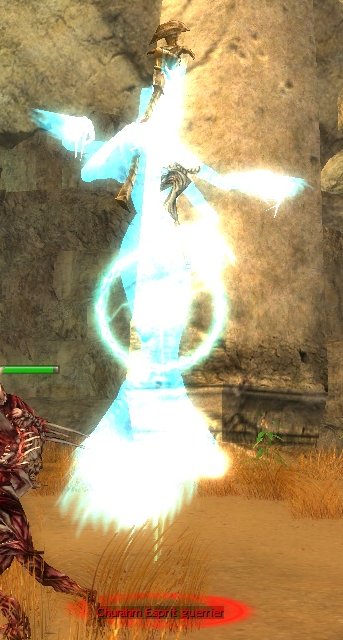 Churahm Esprit Guerrier Guild Wars Wikia Fandom