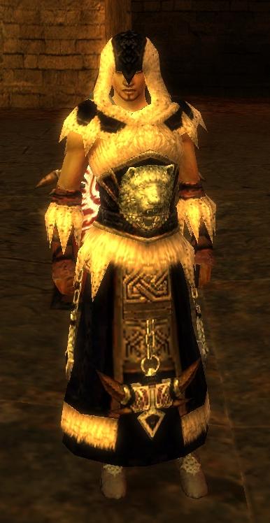 Armure De Norn Derviche Guild Wars Wikia Fandom