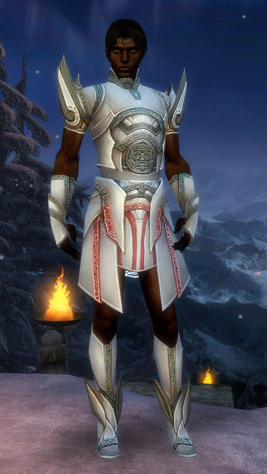 Armure Dasura Parangon Guild Wars Wikia Fandom