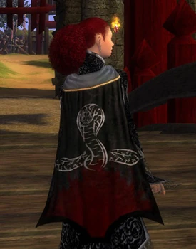 Virtual High | Guild Wars Guilds | Fandom