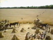 Brobdingnag | Gulliver's Travels Wiki | Fandom