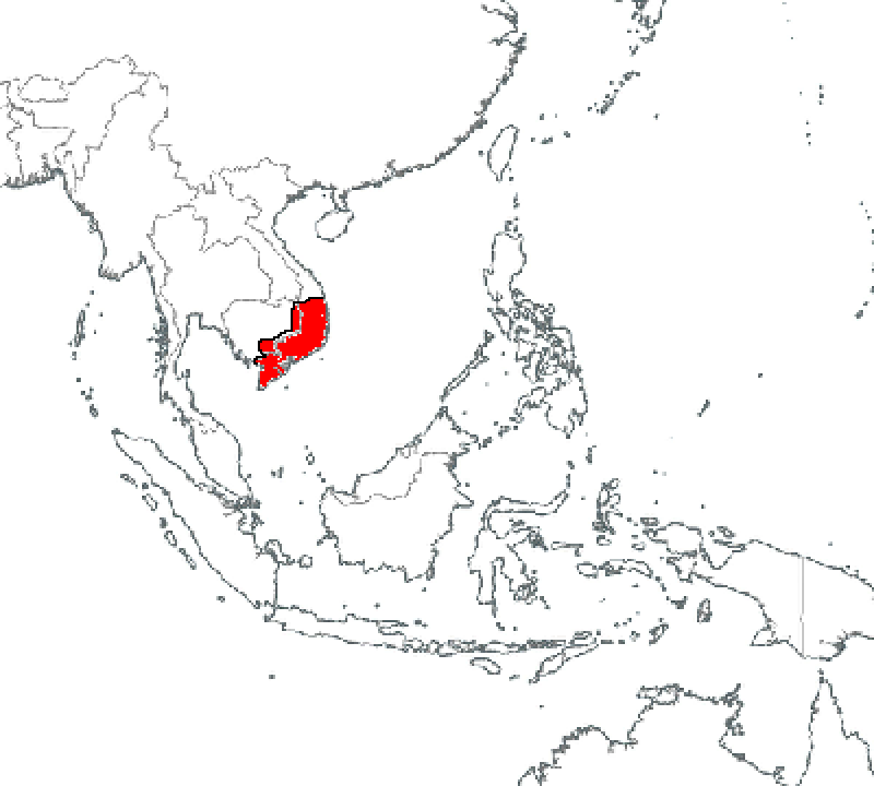 Socheo | Gumba Countries Wikia | Fandom