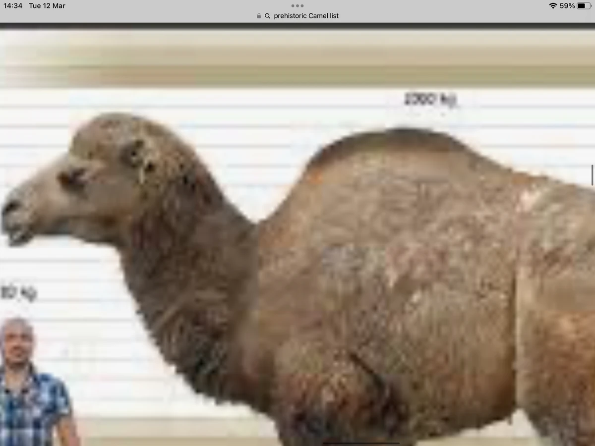 Titanotylopus | Gumball And Friends Wiki | Fandom