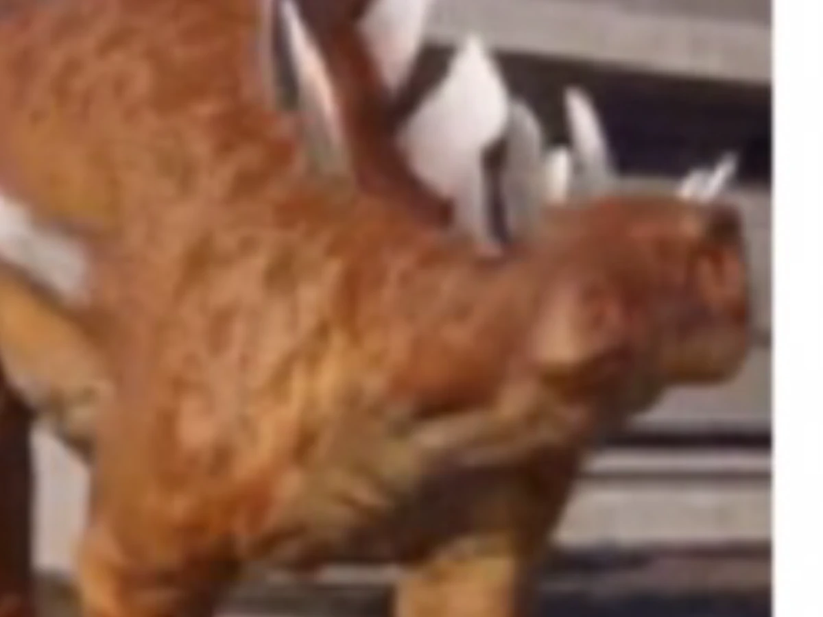 Kentrosaurus | Gumball And Friends Wiki | Fandom