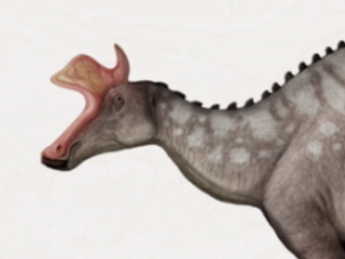 Stephanosaurus | Gumball And Friends Wiki | Fandom