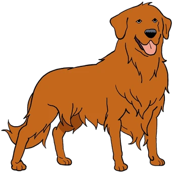 Darwin Watterson | Wiki Le Monde Incroyable de Gumball | Fandom