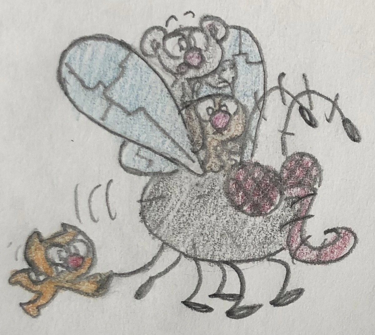 Mr. Fly | Gumball Fanon Randomness Wiki | Fandom