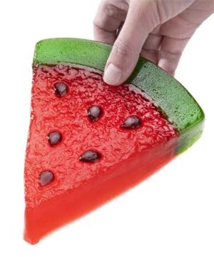 Gummy | Gummypedia! | Fandom
