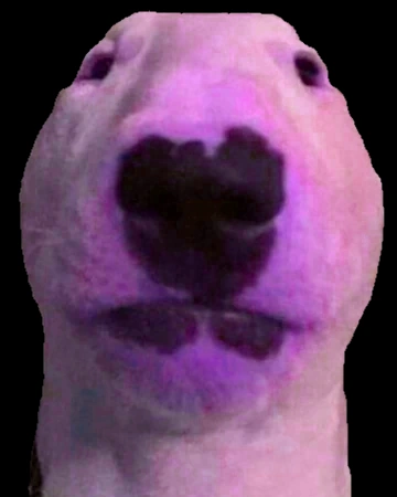 Bruh (u/SamuraiTheSamurai) | Gummybearpills Wiki | Fandom