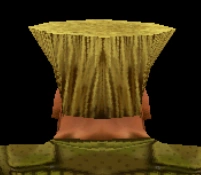 Sonic Broom | Gun Bros Wiki | Fandom