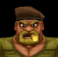 Combat Beret | Gun Bros Wiki | Fandom
