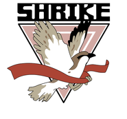 Shrike Team | The Gundam Wiki | Fandom