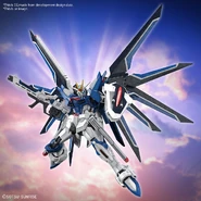 STTS-909 Rising Freedom Gundam | The Gundam Wiki | Fandom