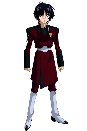 Shinn Asuka | The Gundam Wiki | Fandom