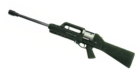 ENARM Pentagun | Gun Wiki | Fandom