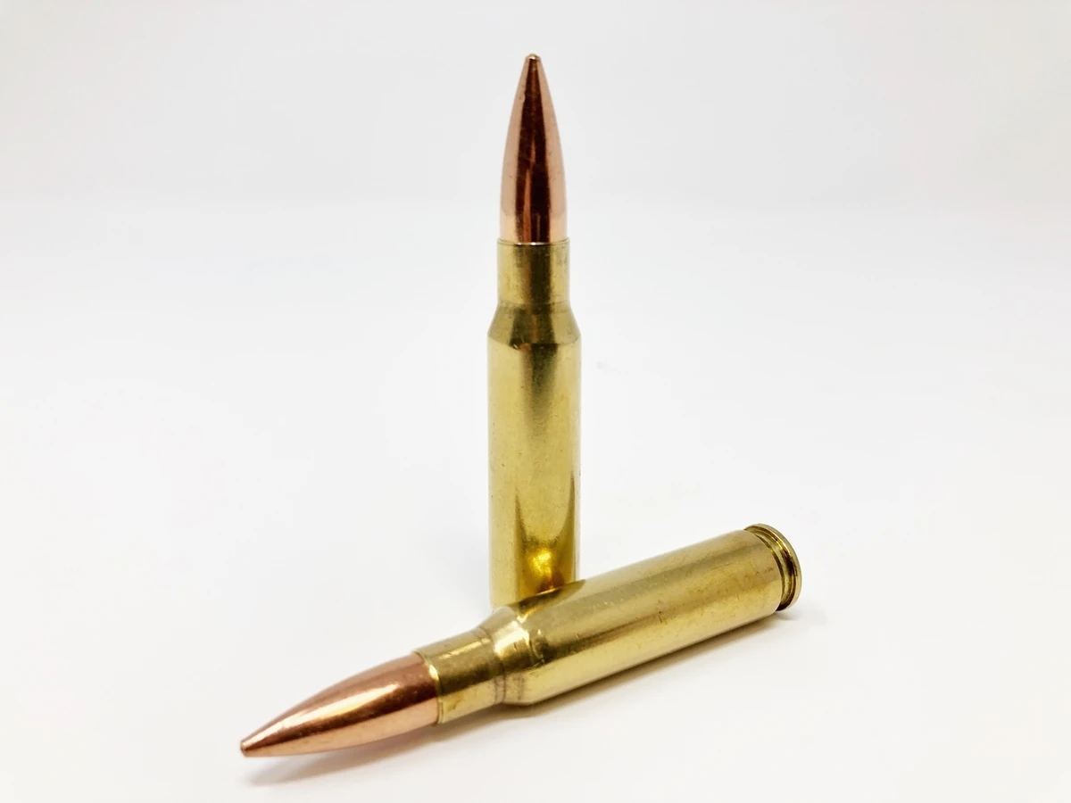 .308 Winchester | Gun Wiki | Fandom