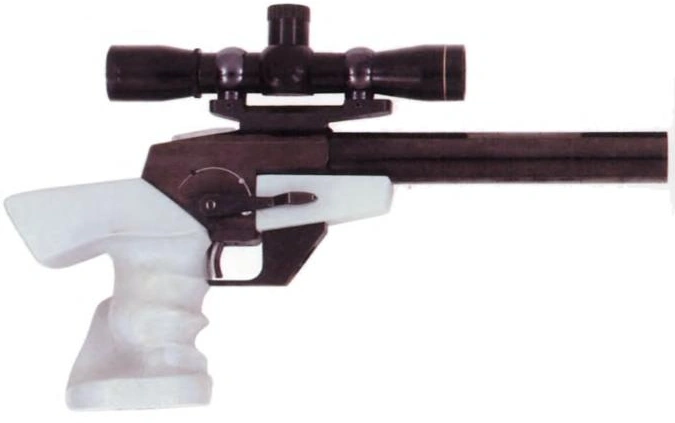 Shield Magnum | Gun Wiki | Fandom