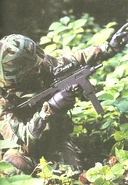 Parker Hale PDW | Gun Wiki | Fandom