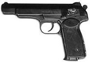 Stechkin automatic pistol | Gun Wiki | Fandom